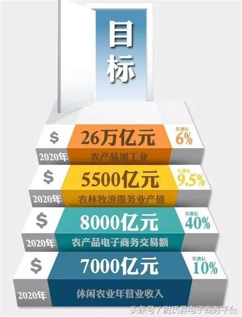 農村電商：農產品進城前途無量，有人賣西紅柿能在上海買房 每日頭條