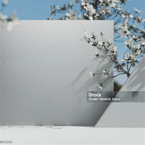 천연 화장품 프리젠 테이션 장면 꽃과 우리의 문 봄 배치 흰색 배경입니다 3d 일러스트 콘텐츠 0명에 대한 스톡 사진 및 기타 이미지 Istock