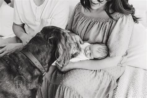 Can I Include My Dog in My Newborn Session? | Grimsby, ON Newborn Photography - Reflections by ...