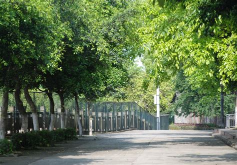 重庆荣昌安富 重庆荣昌 重庆荣昌安富中学 大山谷图库
