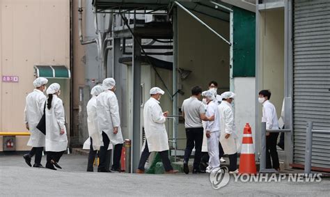 식품공장 끼임사고 재발 없게…혼합기·파쇄기 등 안전검사 확대 연합뉴스