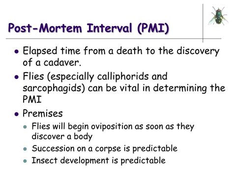Ppt An Introduction To Forensic Entomology Powerpoint Presentation Free Download Id1094609