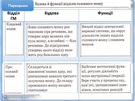 Будова і функції головного мозку презентация онлайн