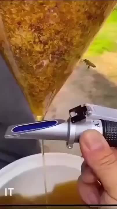 Honey Mollecule Seen Throught High Zoom Album On Imgur