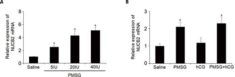 Development And Reproduction