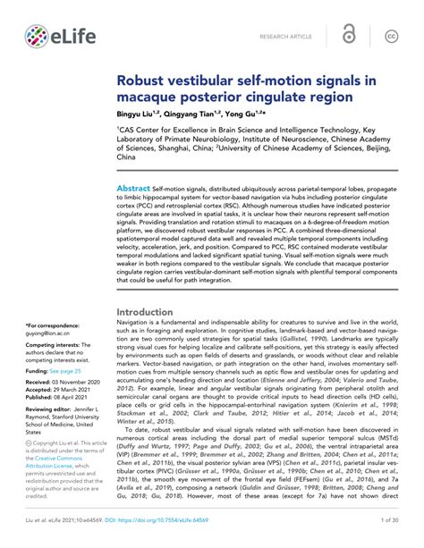 Pdf Robust Vestibular Self Motion Signals In Macaque Posterior Cingulate Region