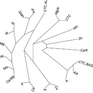 Similarity Dendrogram Obtained By The Upgma Clustering Method Of