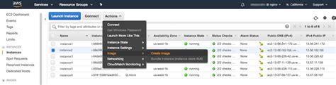 Creating Amazon Ec2 Instances For Nginx Open Source And Nginx Plus