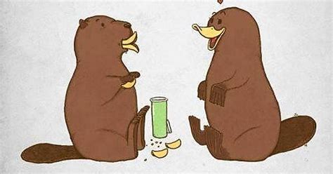 My Favorite Image Right Now Imgur