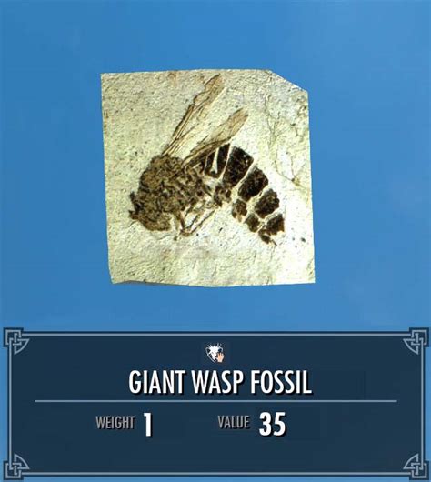 Giant Wasp Fossil Legacy Of The Dragonborn Fandom