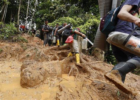 El Llanto De Miles De Niños Migrantes Retumba En La Selva Del Darien