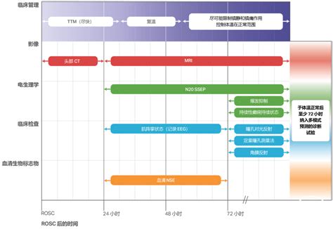 2020年美国心脏学会cpr与ecc指南 摘要（中文版） 脑医汇