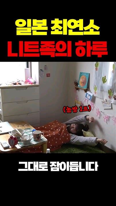 누군가는 한번쯤 꿈꿔봤을 삶 Youtube
