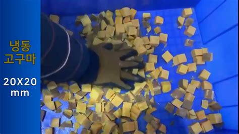 다이서 사각썰기 큐브썰기 깍뚝썰기 야채절단기 사각절단기 사각커터 야채사각커팅기 야채사각절단기 냉동다이서 냉장다이서 치즈다이서 치즈