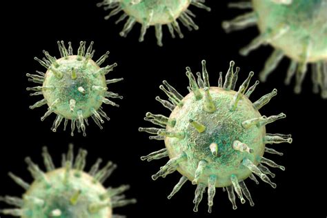 Mononucleosis Síntomas Causas Diagnóstico Y Tratamiento Muy Salud