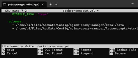Get Started With Docker Part 5 Forward Custom Hostnames With Nginx Proxy Manager And Pi Hole