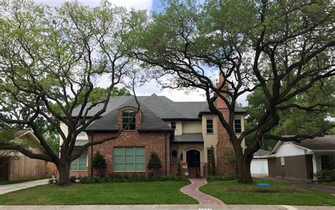 Expert Tree Trimming Services In Houston Landscape Design