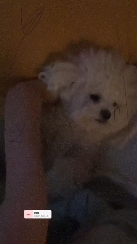 Бөмбөөхэй пэйж Home