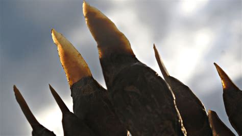 Earliest Evidence Of Bow And Arrow Use Outside Africa Unearthed In