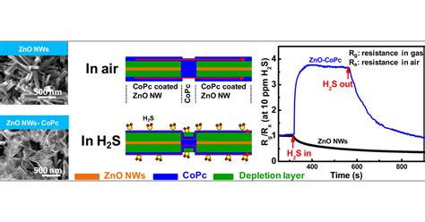 Fast Response And High Sensitivity Of Zno Nanowires—cobalt Phthalocyanine Heterojunction Based