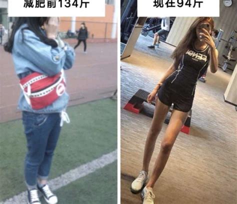 让你变成小腹婆的食物午餐篇 哔哩哔哩