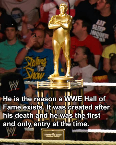 26 Andre The Giant Facts Youll Hardly Believe Are True