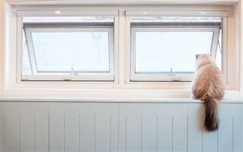 賃貸物件で飼っている猫が脱走してしまったら？対処法や予防方法を解説｜京都市の不動産｜株式会社クラストホーム