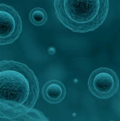 Standard Biotools On Linkedin Cytof
