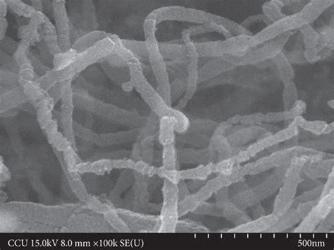 The FESEM Images Of Carbon Nanotubes Graphene Composites Download Scientific Diagram