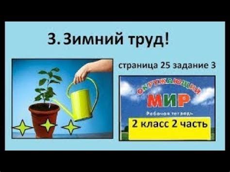 Комнатные растения зимой/Зимний труд №3 (Окр.мир 2 класс Перспектива ...