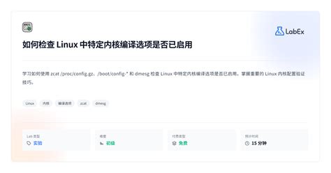 如何检查 linux 中特定内核编译选项是否已启用 labex