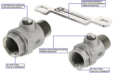 Deringer 20g Double Check Backflow Preventer With Gate Valve