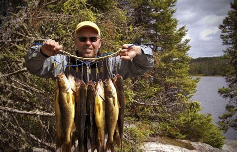 Exploring The Delights Of Shore Lunch Walleye World Class Fishing Resorts
