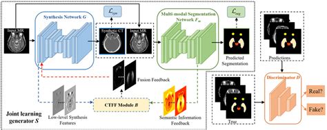 The Framework Of Our Proposed Ctff Gan For Simultaneous Mr Ct Synthesis Download Scientific