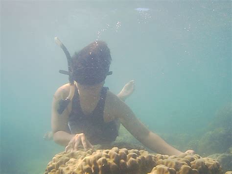 Tiket Open Trip Pulau Pari Kepuluan Seribu 2D1N By Sabiladventure