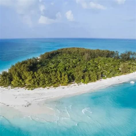 Snorkeling At Mnemba Island Atoll Zanzibar Spice Tour Jozani Forest