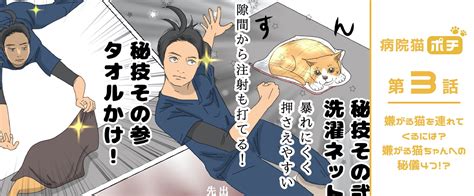 【猫マンガ Vol3】「病院猫ポチ」3話 嫌がる猫を連れてくるには？嫌がる猫ちゃんへの秘儀4つ！？ ＃hugq（ハッシュハグ）