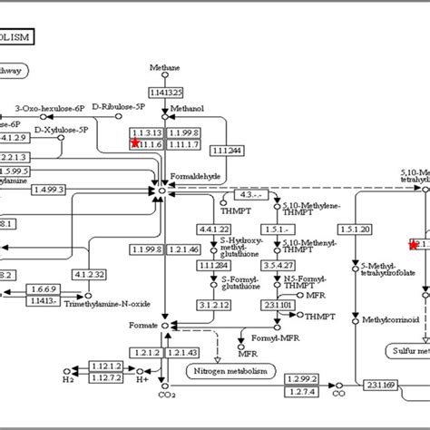 Ipath3 Visualization Of All Metabolic Functions Affected By Archaea In Download Scientific