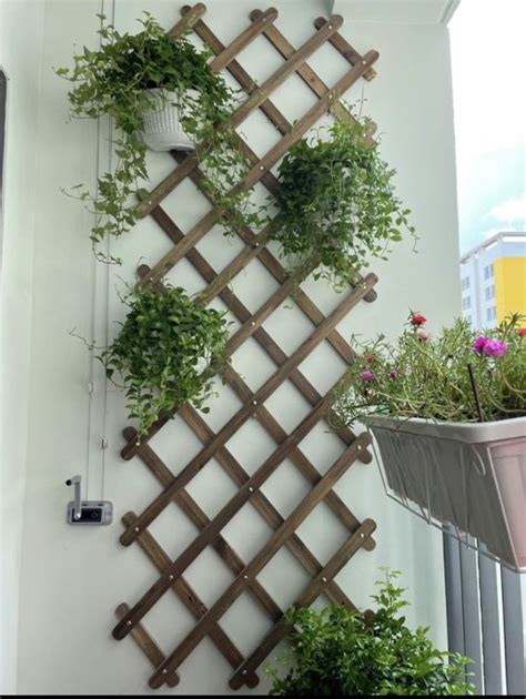 Giàn Gỗ Gắn Tường Treo Chậu Cây Leo Hoa Trang Trí Ban Công Sân Vườn