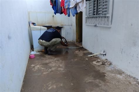 Homem Morre Eletrocutado Enquanto Lavava Roupas Em Casa Portal O Norte