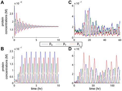 Comparison Of Pde And Stochastic Simulations In A Single Cell Using