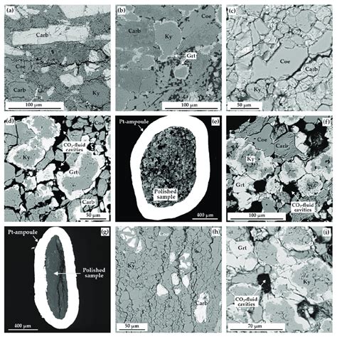 Sem Micrographs Bse Regime Of Polished Sample Fragments After