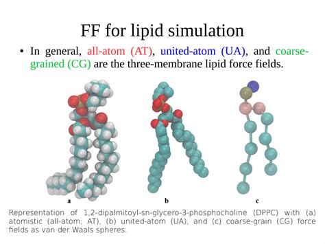 Monte Carlo Simulations And Membrane Simulation And Dynamics Pdf