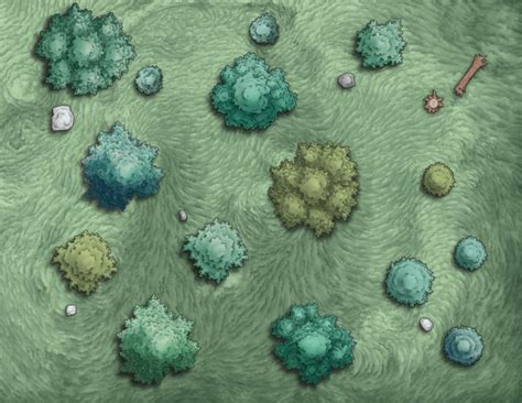 Jungle Map Pdf