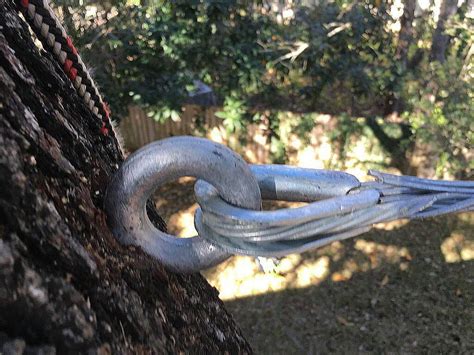 Tree Cabling Services Strobert Tree Services