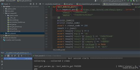 pytest基础用法03：pytest requests执行用例 pytest request示例 csdn博客