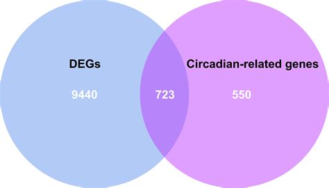 Identification Of The Potential Biomarkers Associated With Circadian