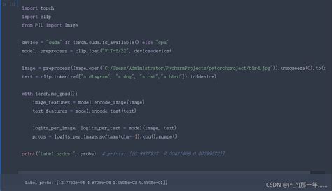 超详细pytorch环境配置及clip应用实例 pytorch clip csdn博客