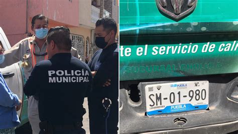 Empleado De Cfe Asesinó A Una Perrita Con Un Desarmador En Puebla Infobae