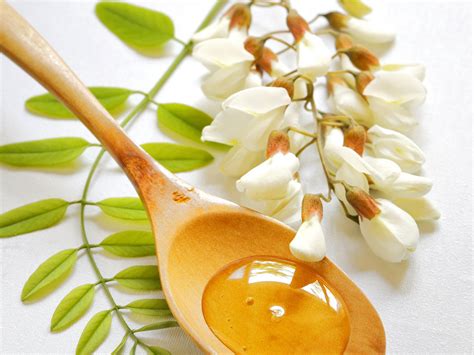 Цветы пахнущие медом 66 фото